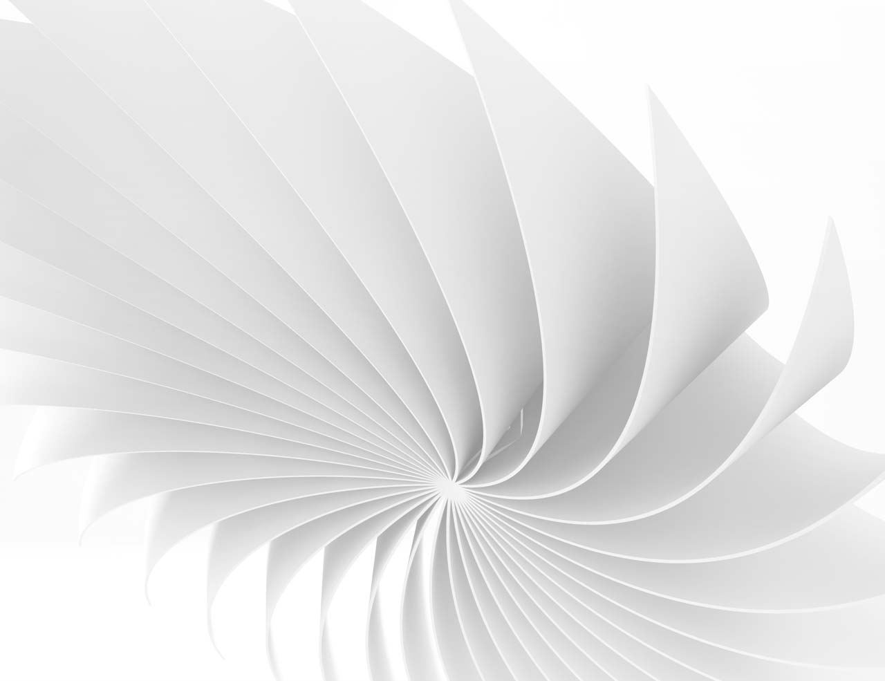 Fan Vector Le Beau Giclee 2024